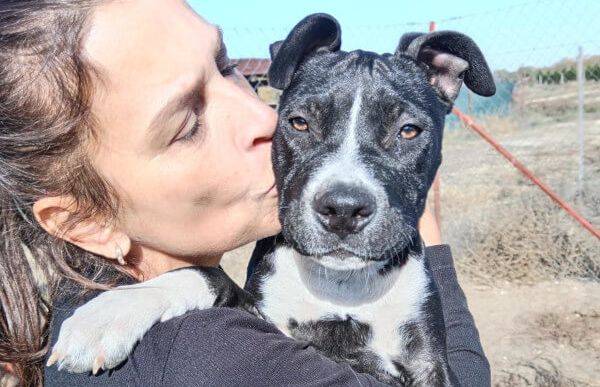 Hundevermittlung Vicky-2 - Animal Happyend