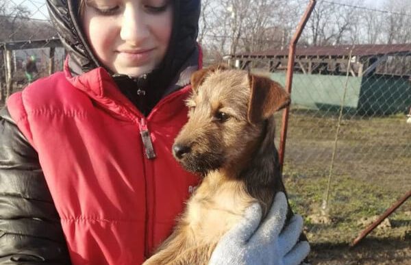 Hundevermittlung Zena-2 - Animal Happyend