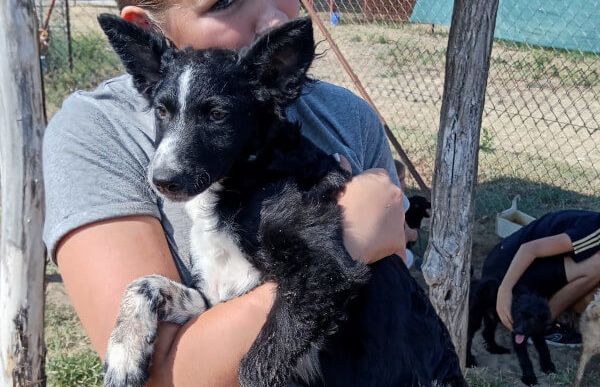 Hundevermittlung Trina-2 neu Genna - Animal Happyend